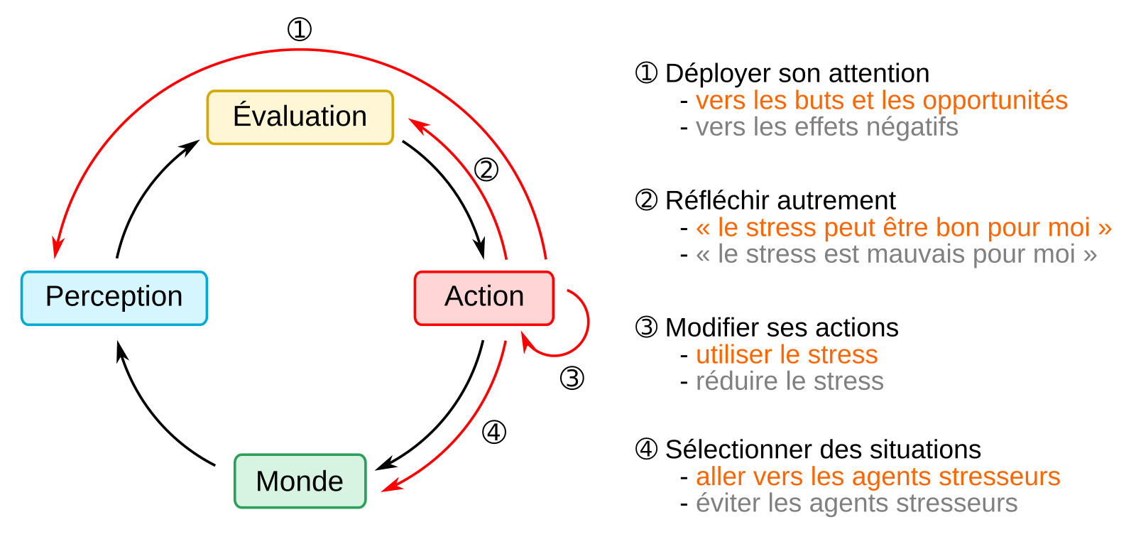 Le modèle intégratif d’optimisation du stress | Planet-Vie